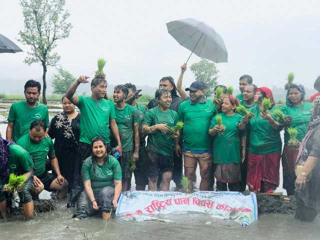 कटारीमा पनि धान दिवश मनाईयो | Janta Voice